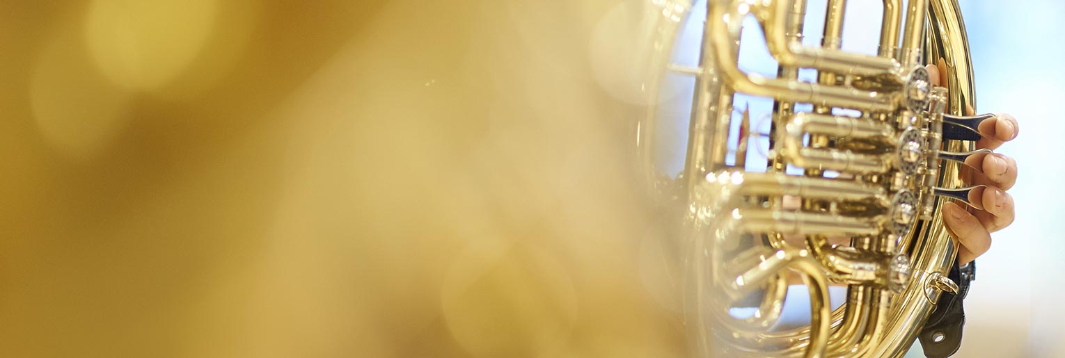 Rosehill Instruments: Brass & Woodwind Music Shop