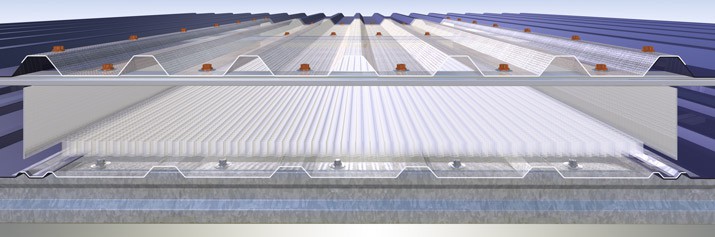 Zenon Evolution by Hambleside Danelaw