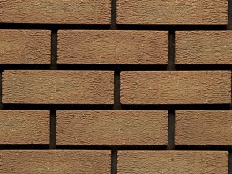 Anglian Beacon Sahara 73mm by Ibstock Brick