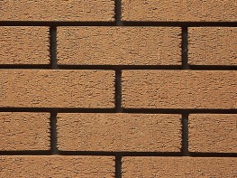 Anglian Buff Multi Rustic 73mm by Ibstock Brick