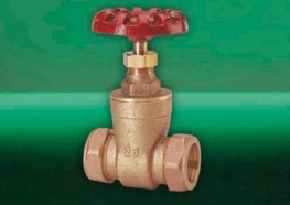 D155C Compression Ended Gate Valve by Crane Fluid Systems