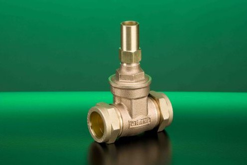 D255C Compression Ended Gate Valve by Crane Fluid Systems