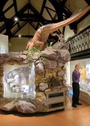 Belgravia Classic Fan Convectors by SPC