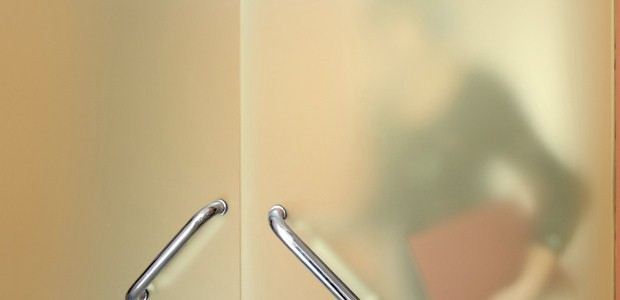 SatinDeco Lami Light Bronze 5558 by Guardian Glass