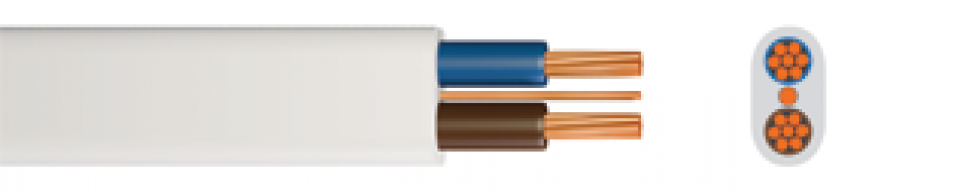 Time - Twin & Earth LSF 6242B by Pitacs