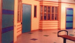 Internal Commercial Doors by Janex