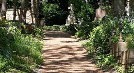 Terrabase Rustic by Addagrip Terraco