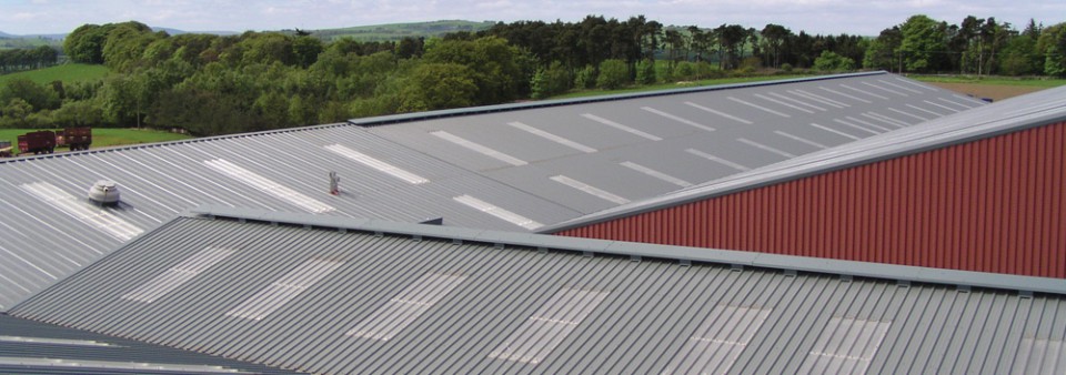 Standard Profiled Grp Rooflights And Sheets by Filon Products