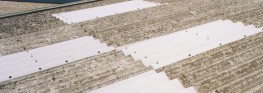 Dr Refurb Grp Sheets For Repairs To Profiled Roofs And Walls by Filon ...
