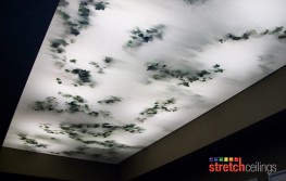 Lighting Solutions by Stretch Ceilings