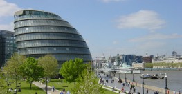 Advanced Turf by ABG