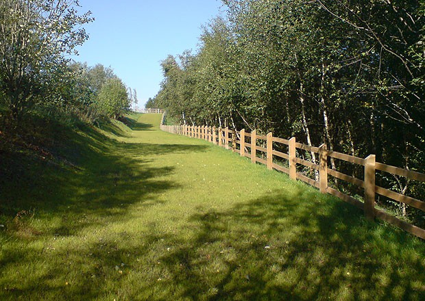 Grassroad - Paving by Grass Concrete