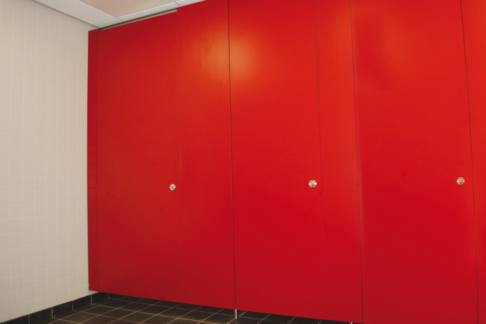 Flush 30 Cubicle Range by Excelsior Panelling Systems