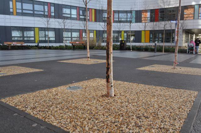 Treepit - Surfacing by Meon