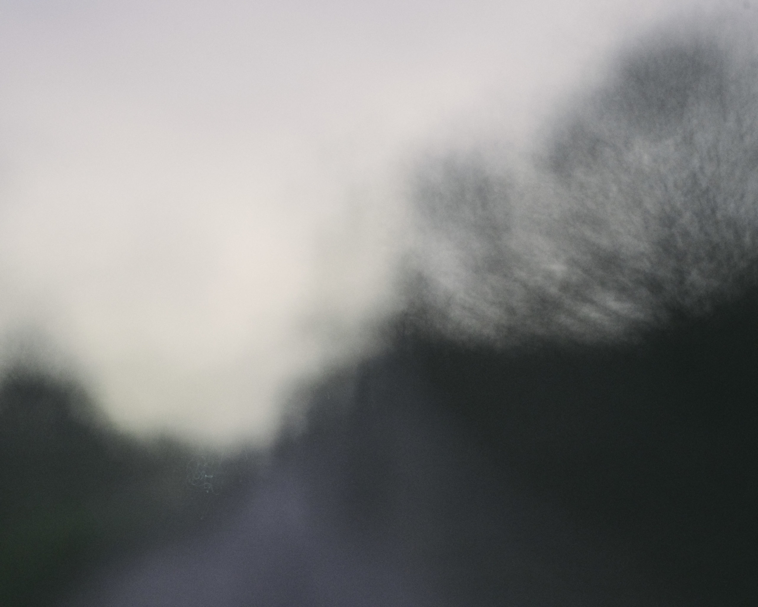 MS_D85_8230 - Spencer MurphySpencer Murphy