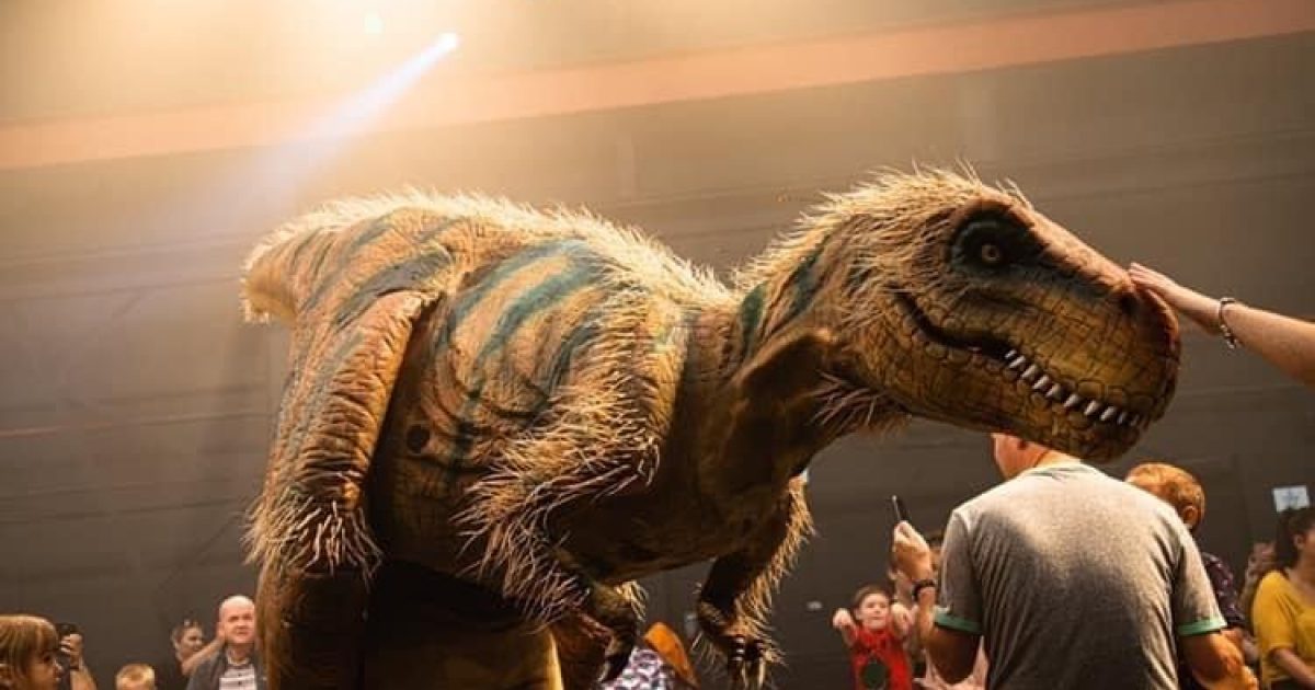 Teach Rex Live: The VELOCIRAPTOR Show | The Stables