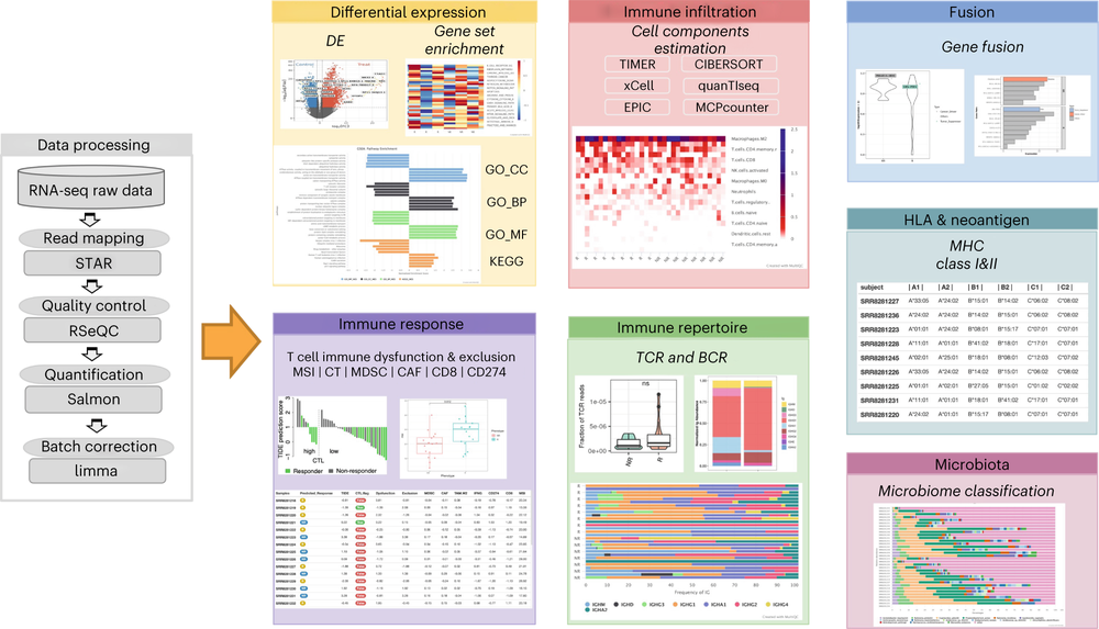 Rna Sequencing Tutorial at Deborah Vann blog