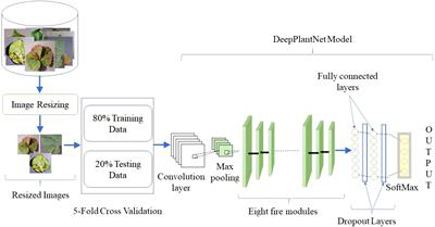 An effective approach for plant leaf diseases classification based o