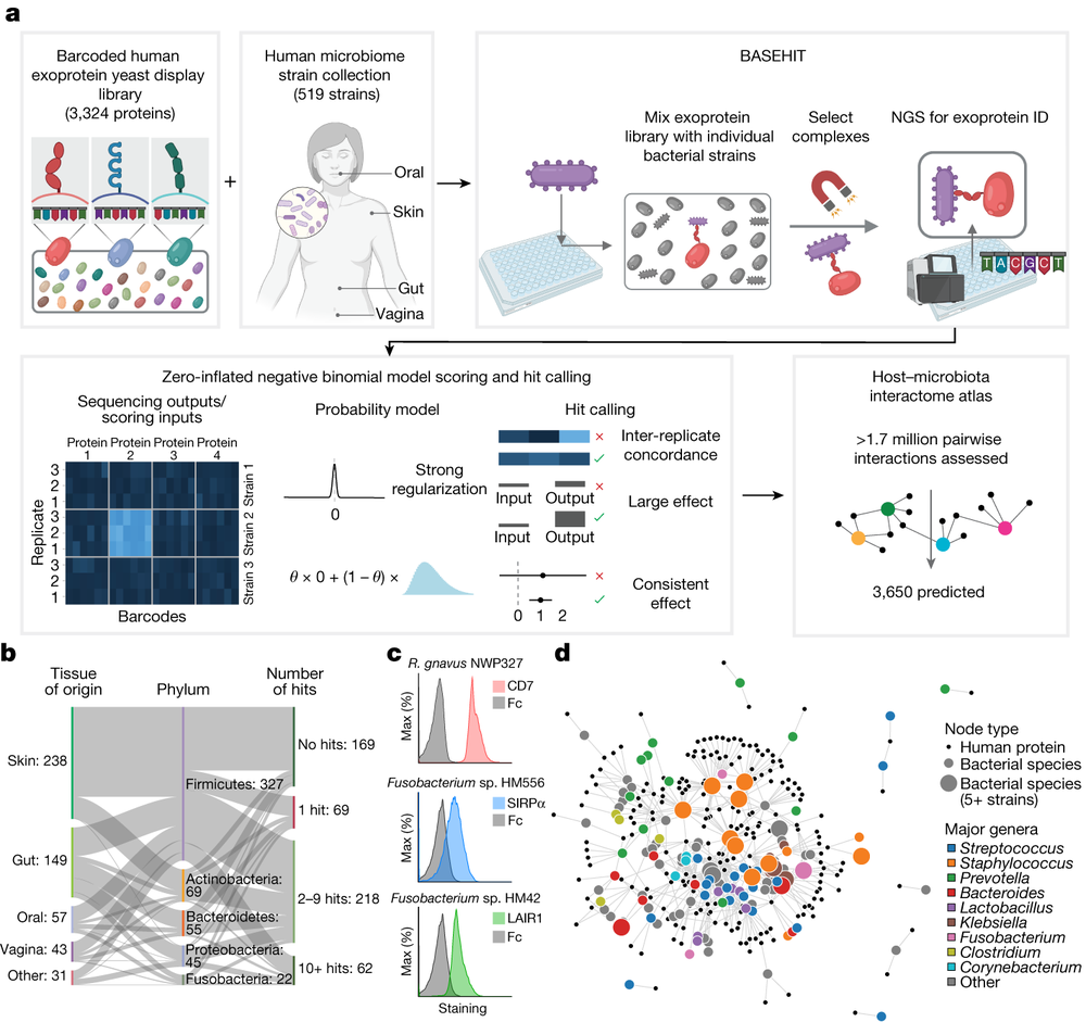 A host–microbiota interactome reveals extensive transkingdom connect