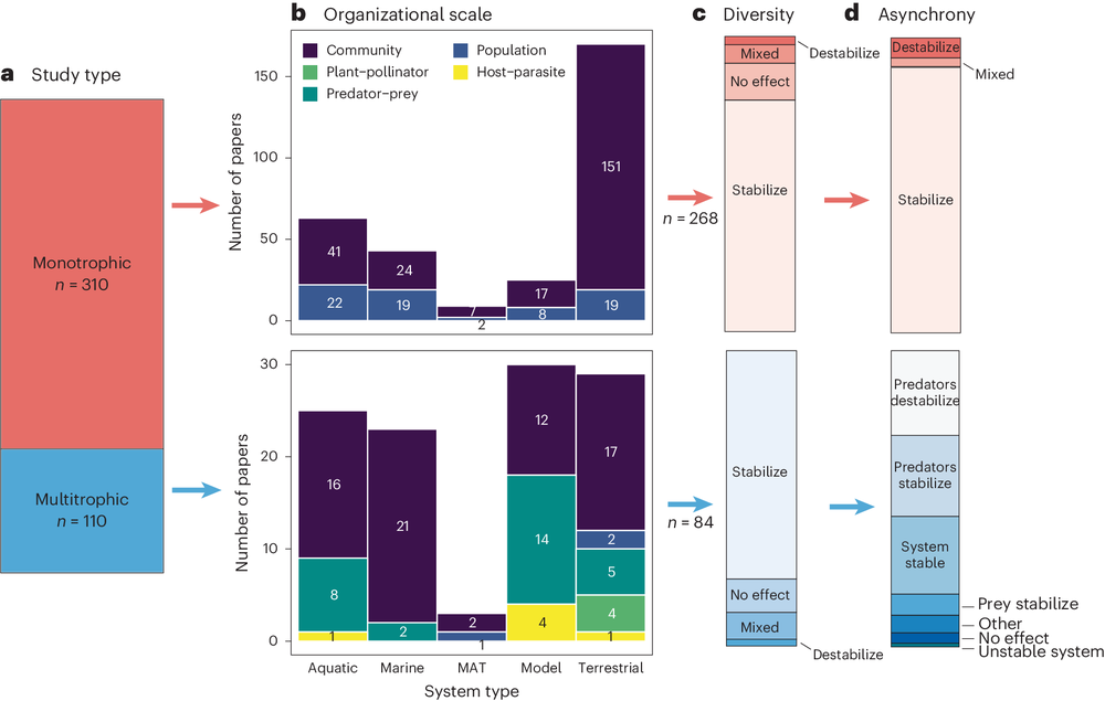 Understanding diversity–synchrony–stability relationships in multitr