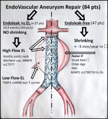 Abdominal Aortic Aneurysm Repair