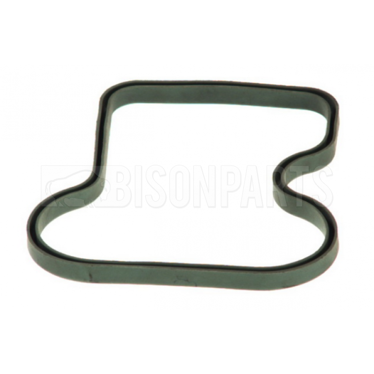ROCKER COVER GASKET 1369501, 1420776 - Bison Parts