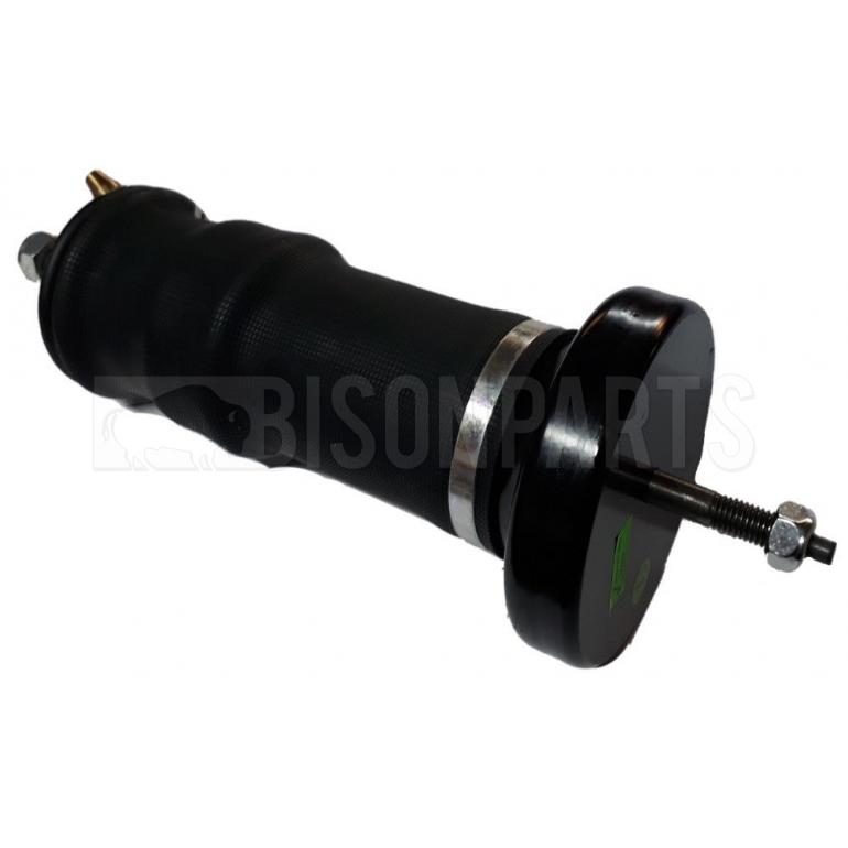 REAR CABIN AIR SPRING COMPLETE WITH DAMPER 1349844 S2, 1382827 S2 ...