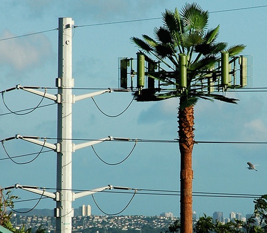 Antenna Tree Mast Safari