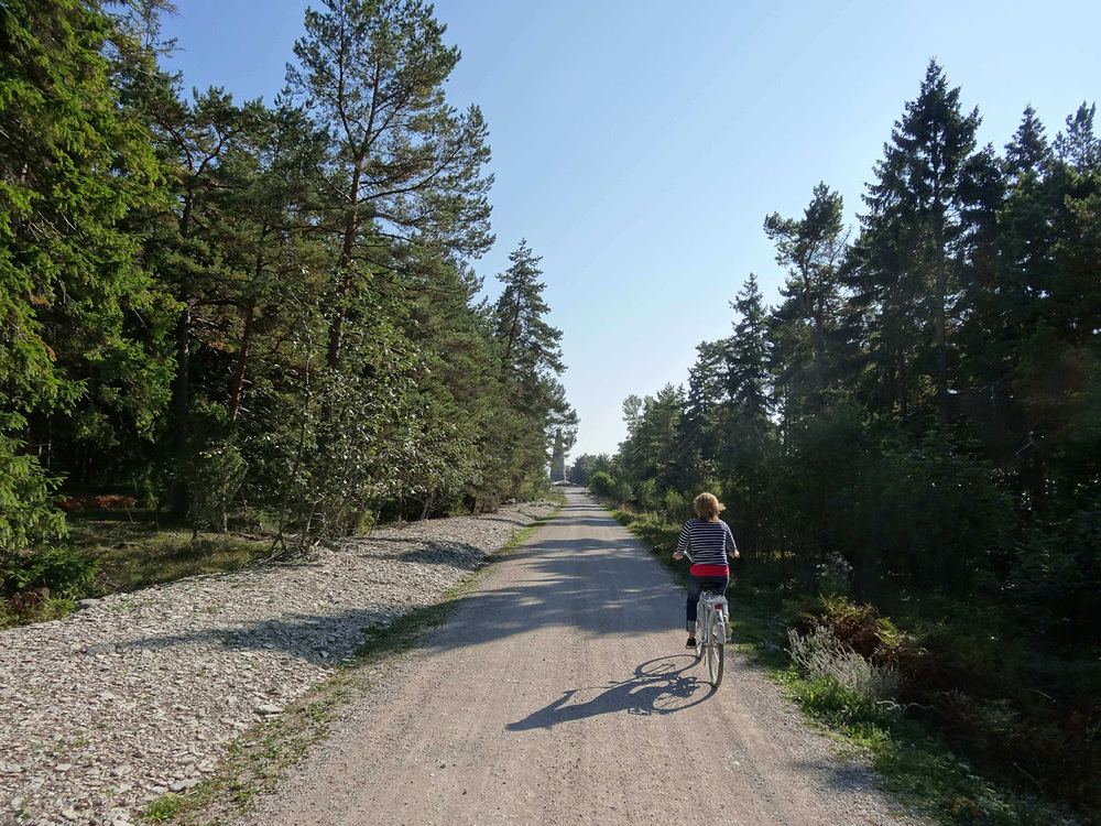 Visby cykeluthyrning hamnen - Hyr cykel och upptäck Gotland på cykel