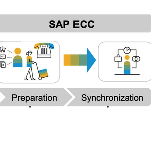 363638_small_Business_Partner_Model__SAP_S_4HANA_SQUARE.png