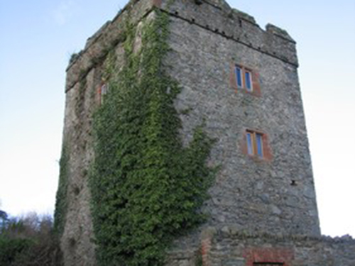 Strangford Castle - Stone Database NI