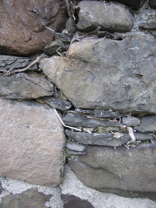 St. Malachy's Wall - Stone Database NI