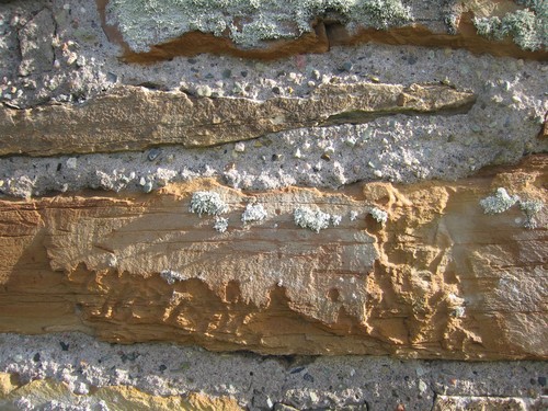 Christ Church, Strangford - Stone Database NI