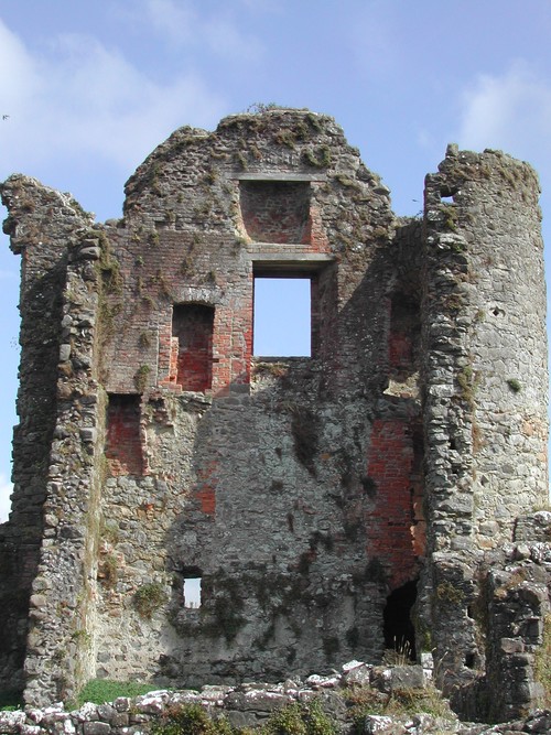 Old Crom Castle - Stone Database NI