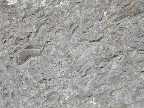 Old Crom Castle - Stone Database NI