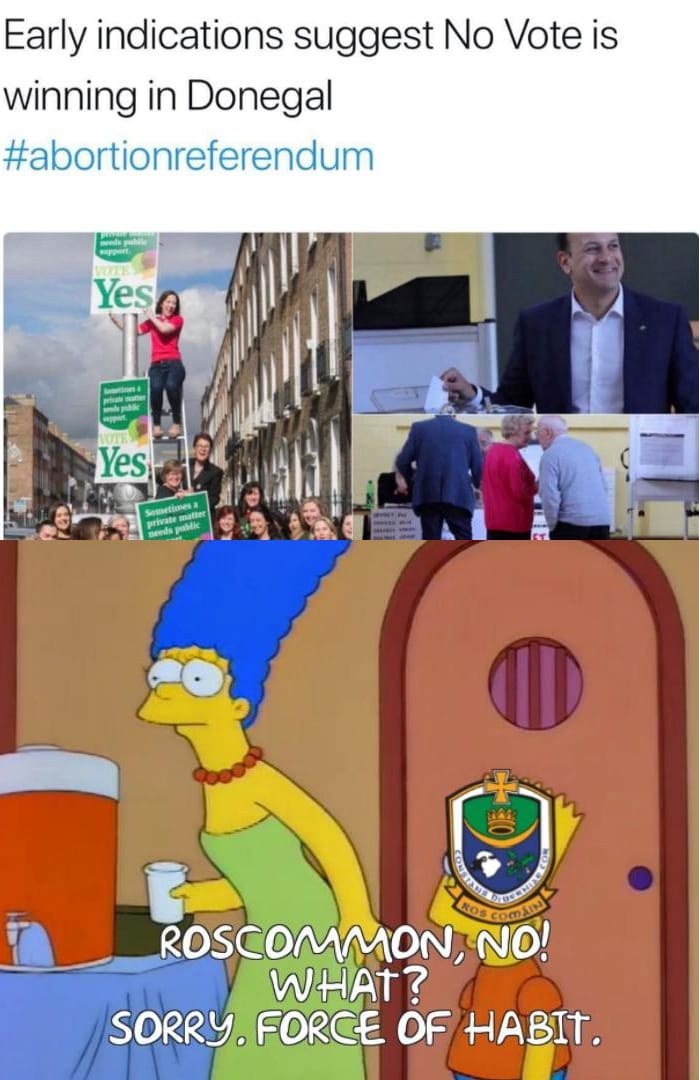 The Best Referendum Memes As Ireland Vote To Repeal The 8th | Balls.ie