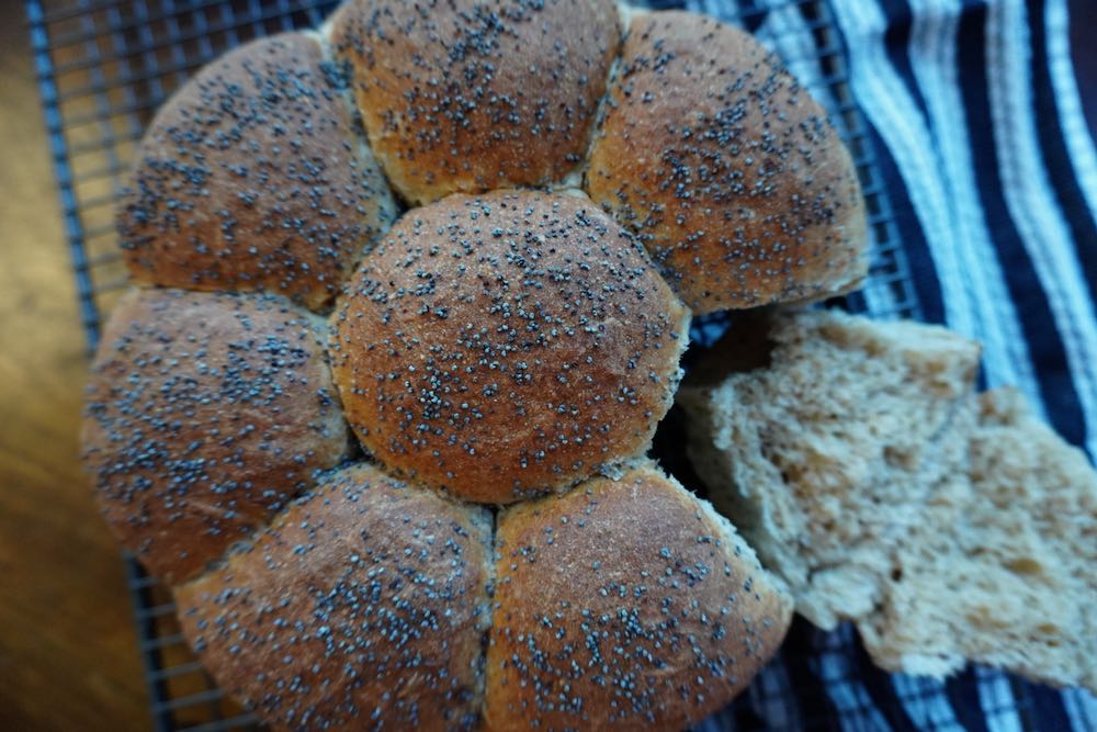 Spelt Poppy Seed Dinner Rolls Spelt Poppy Seed Dinner Rolls