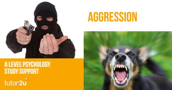 A Level Study Notes: Aggression | Psychology | tutor2u