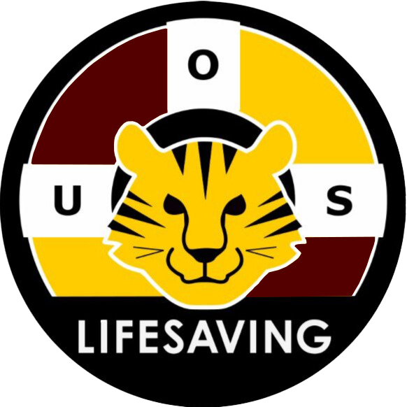 National Pool Lifeguard Qualification (NPLQ 10) at 15/11/2024