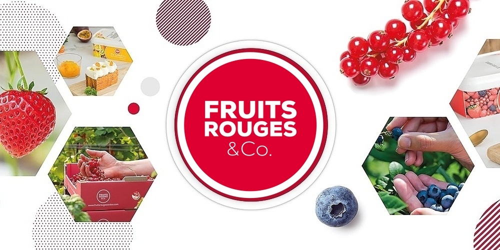 FRUITS ROUGES & Co | LAON - Candidature Spontanée (F/H)