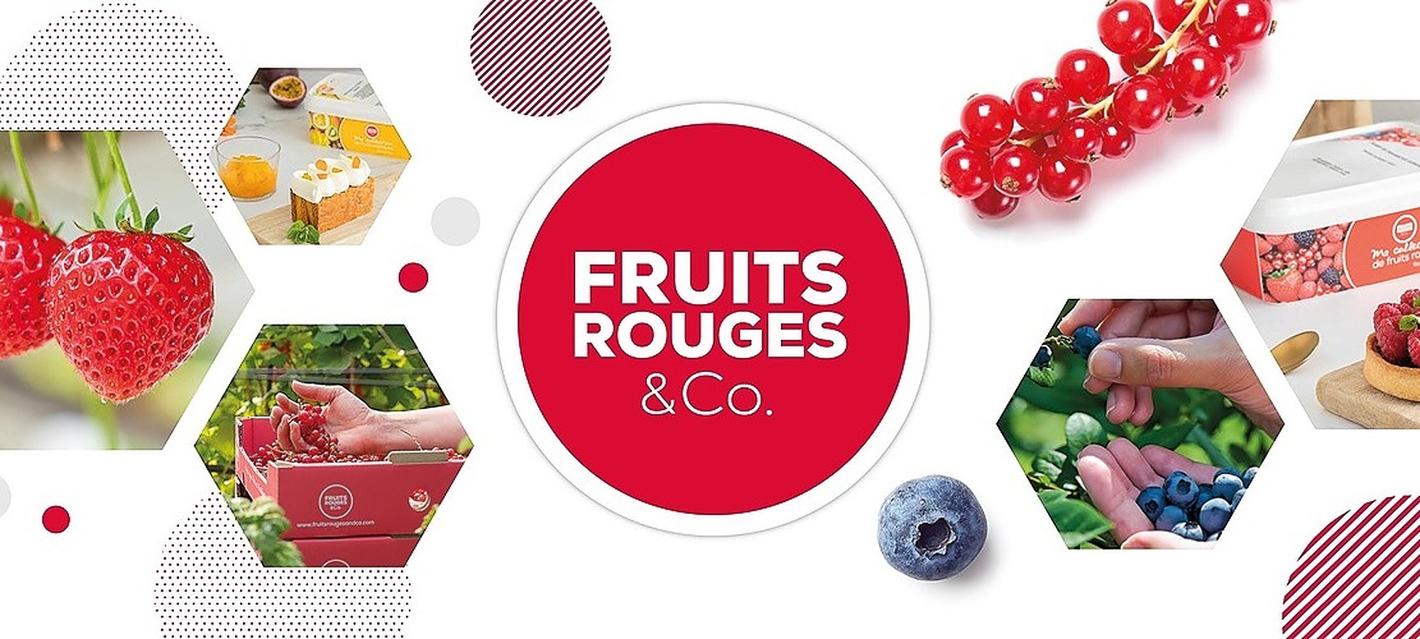 FRUITS ROUGES & Co