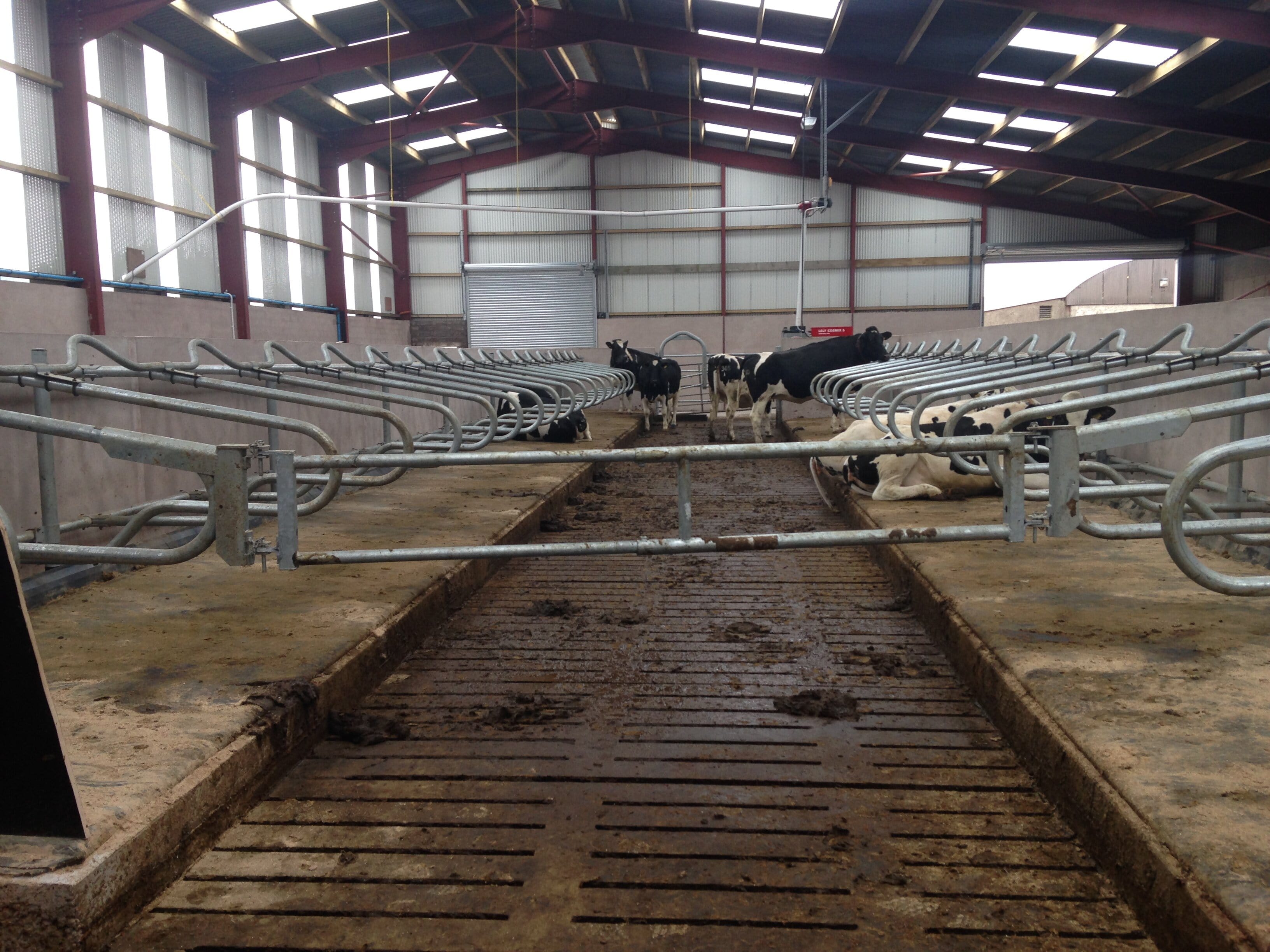 Cubicle Dividing Gate - Teemore Engineering - Livestock Housing Specialists