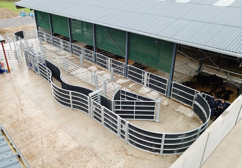 Maximising Efficiency and Animal Welfare: State-of-the-Art Calf to Beef ...