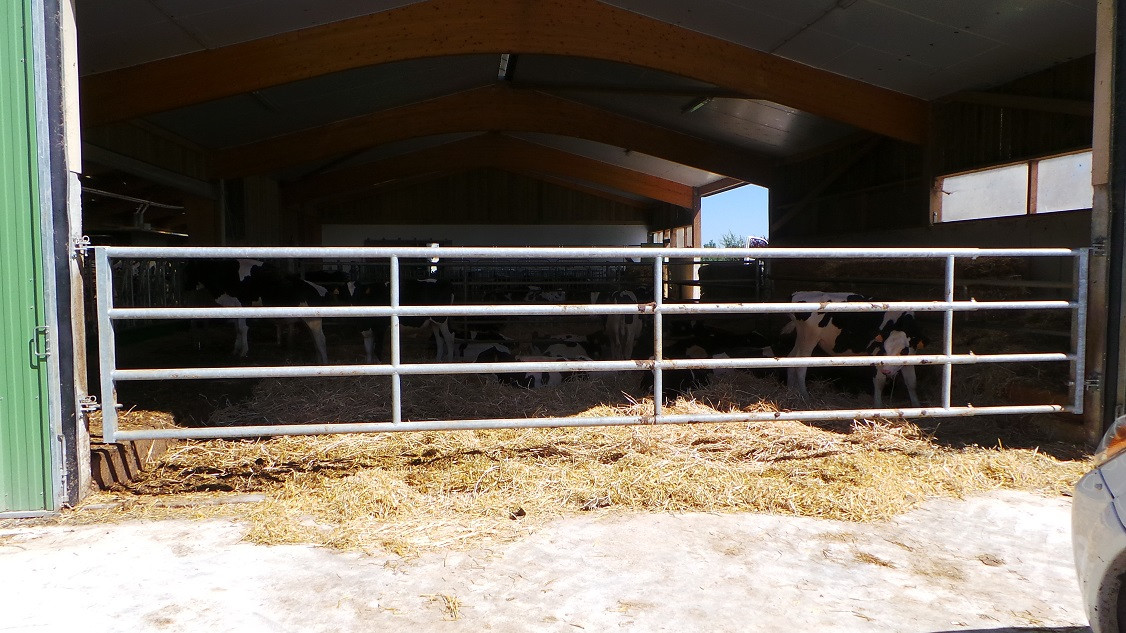 4 Bar Panel Gate End - Teemore Engineering - Livestock Housing Specialists