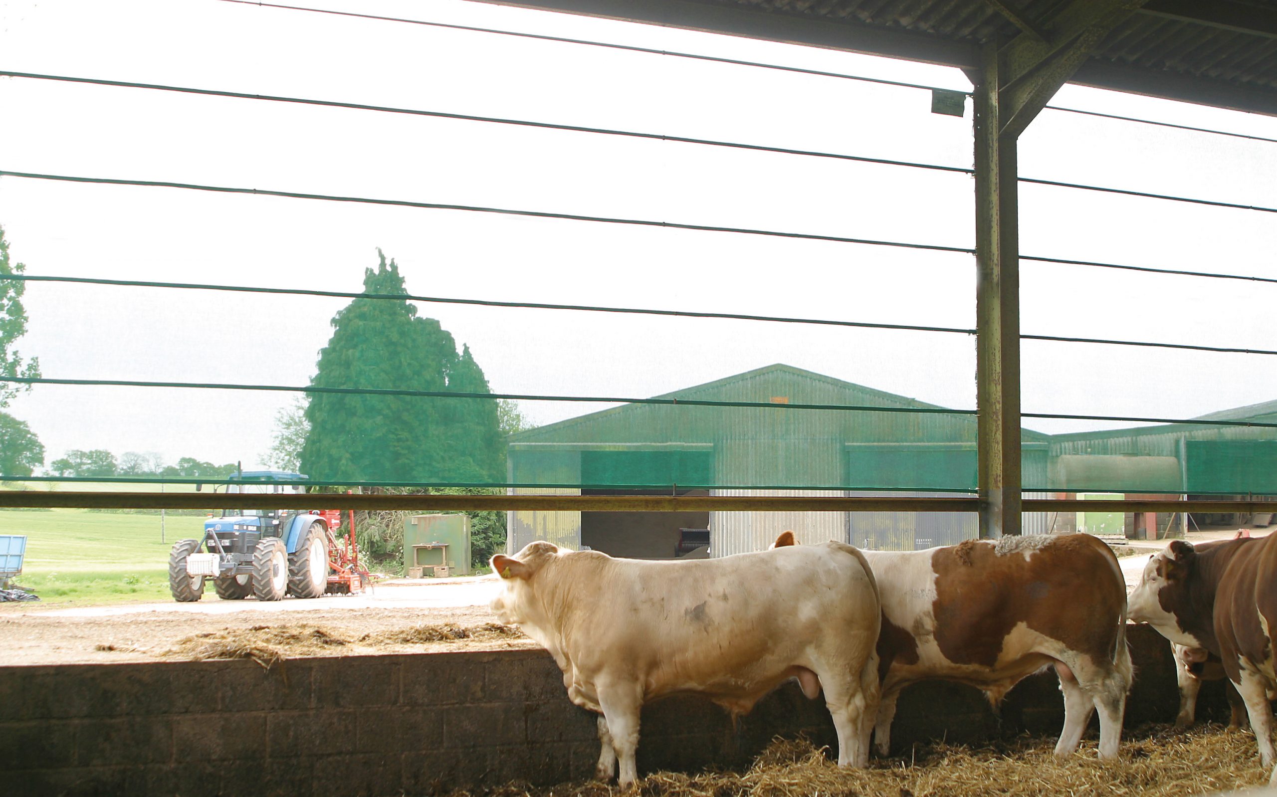 Galebreaker Bayscreen - Teemore Engineering - Livestock Housing Specialists