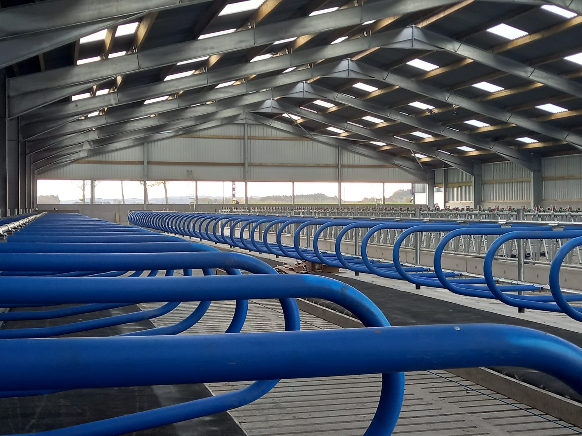 Plastic Cow Cubicle - Teemore Engineering - Livestock Housing Specialists
