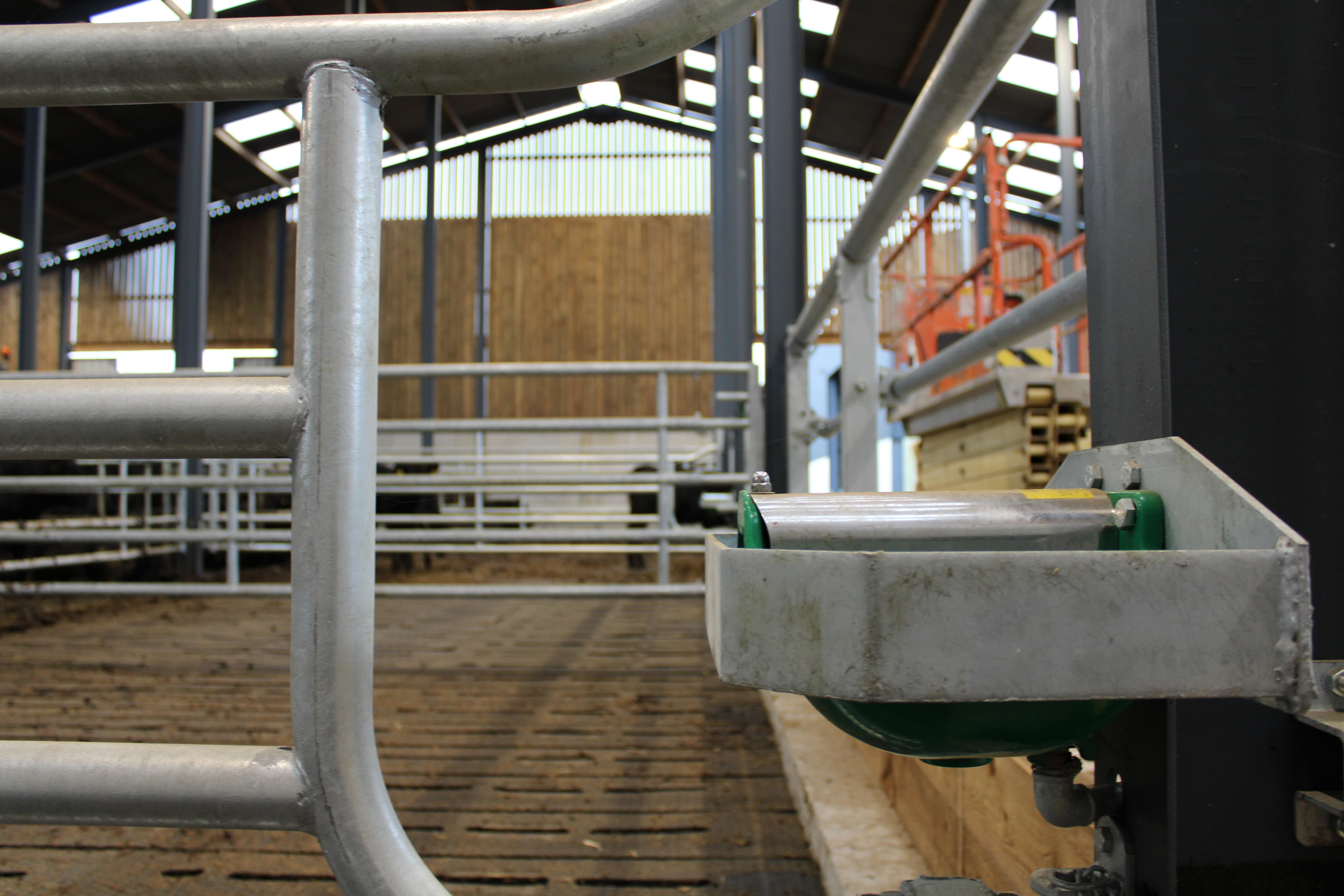 Maximising Efficiency and Animal Welfare: State-of-the-Art Calf to Beef ...