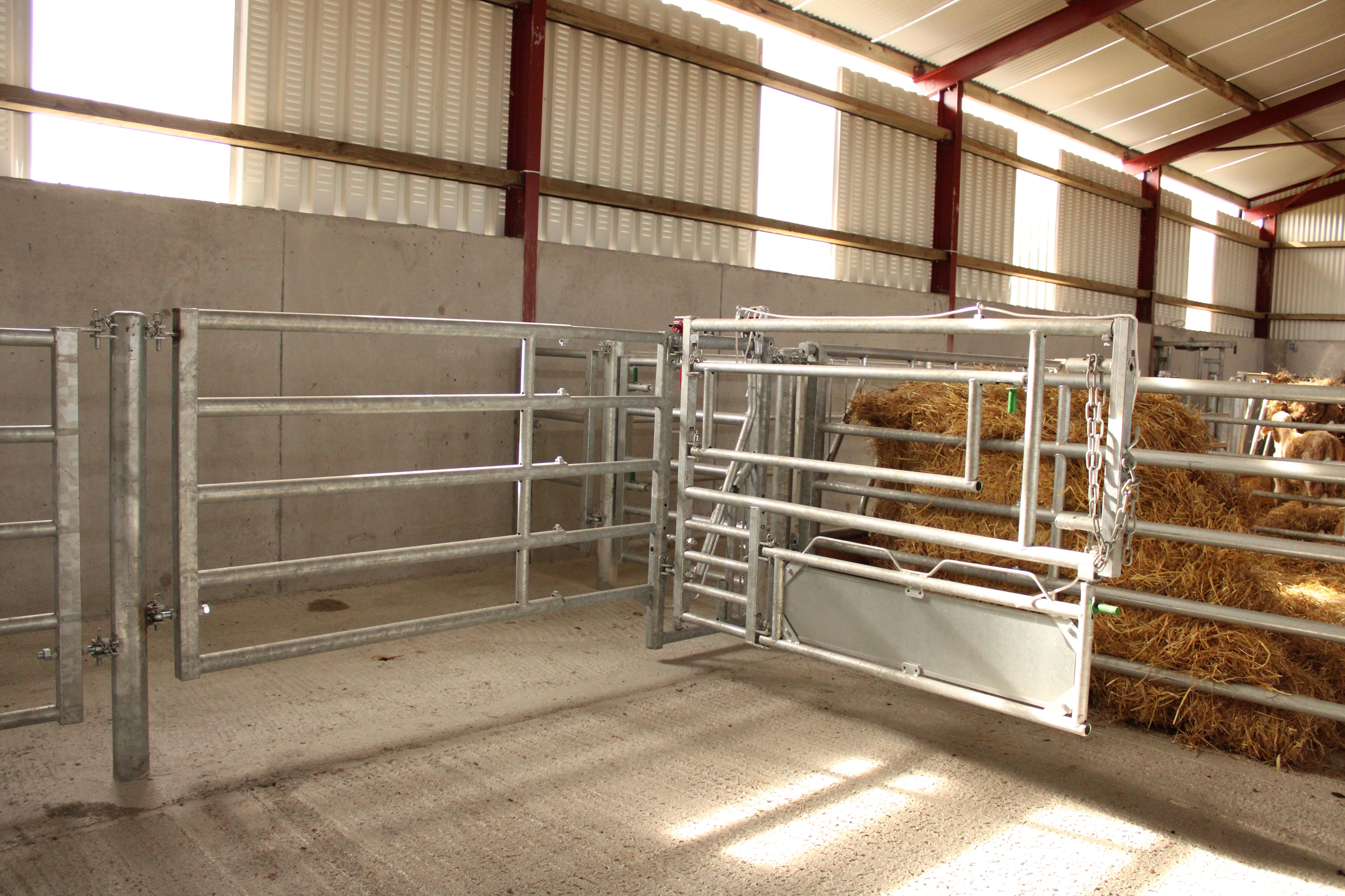 Driven Design: A Suckler Shed in County Cavan - Teemore Engineering ...
