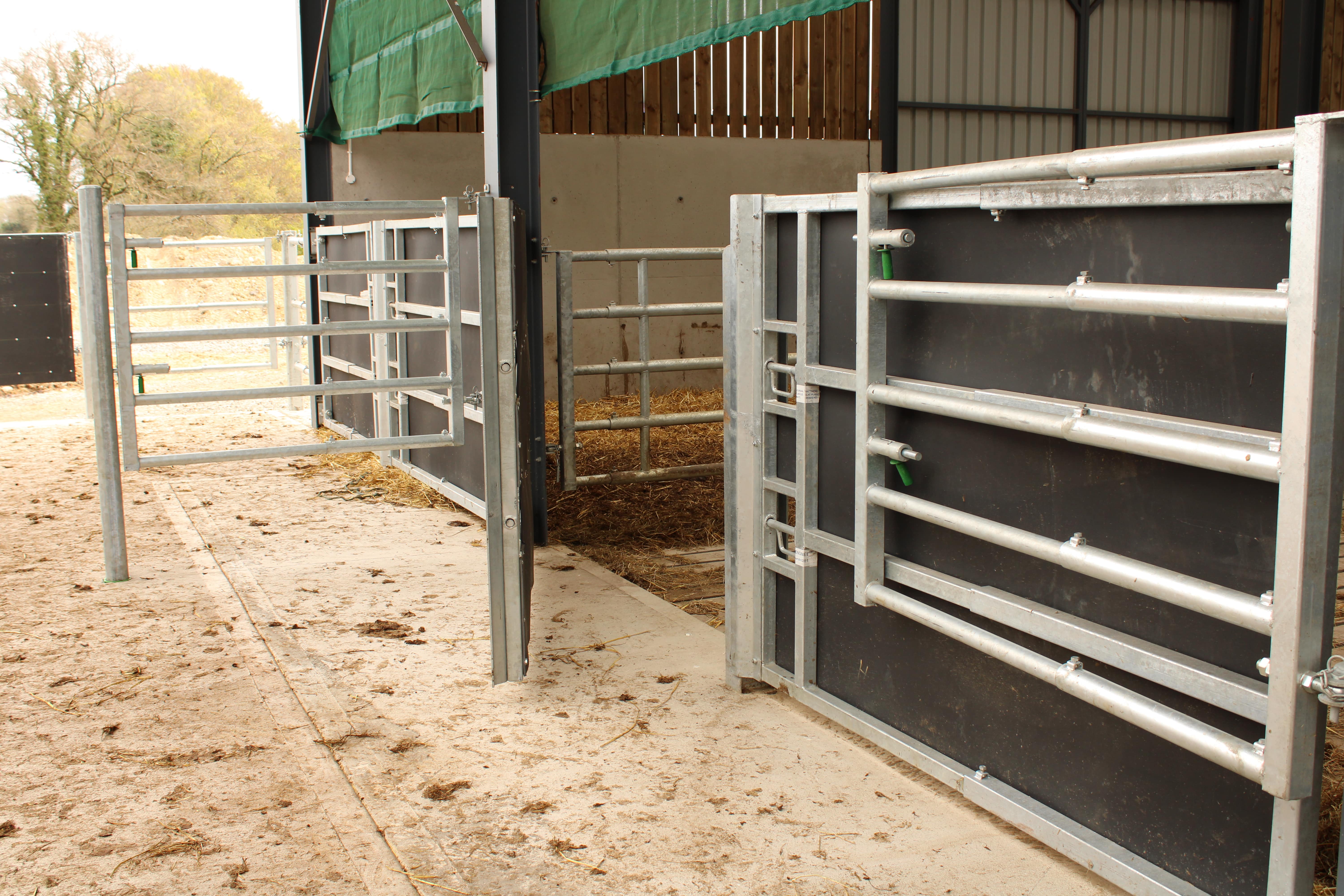 Maximising Efficiency and Animal Welfare: State-of-the-Art Calf to Beef ...