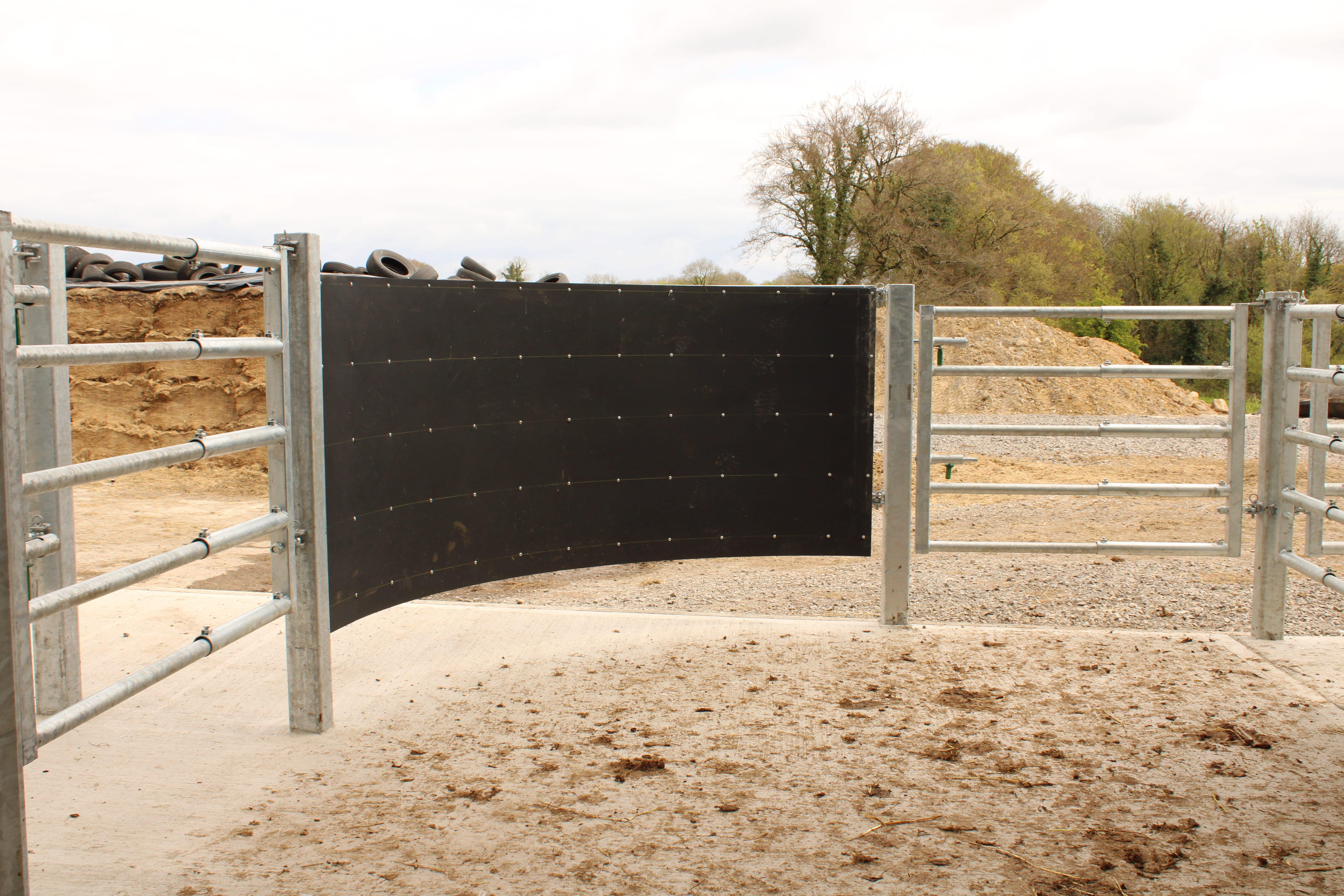 Maximising Efficiency and Animal Welfare: State-of-the-Art Calf to Beef ...